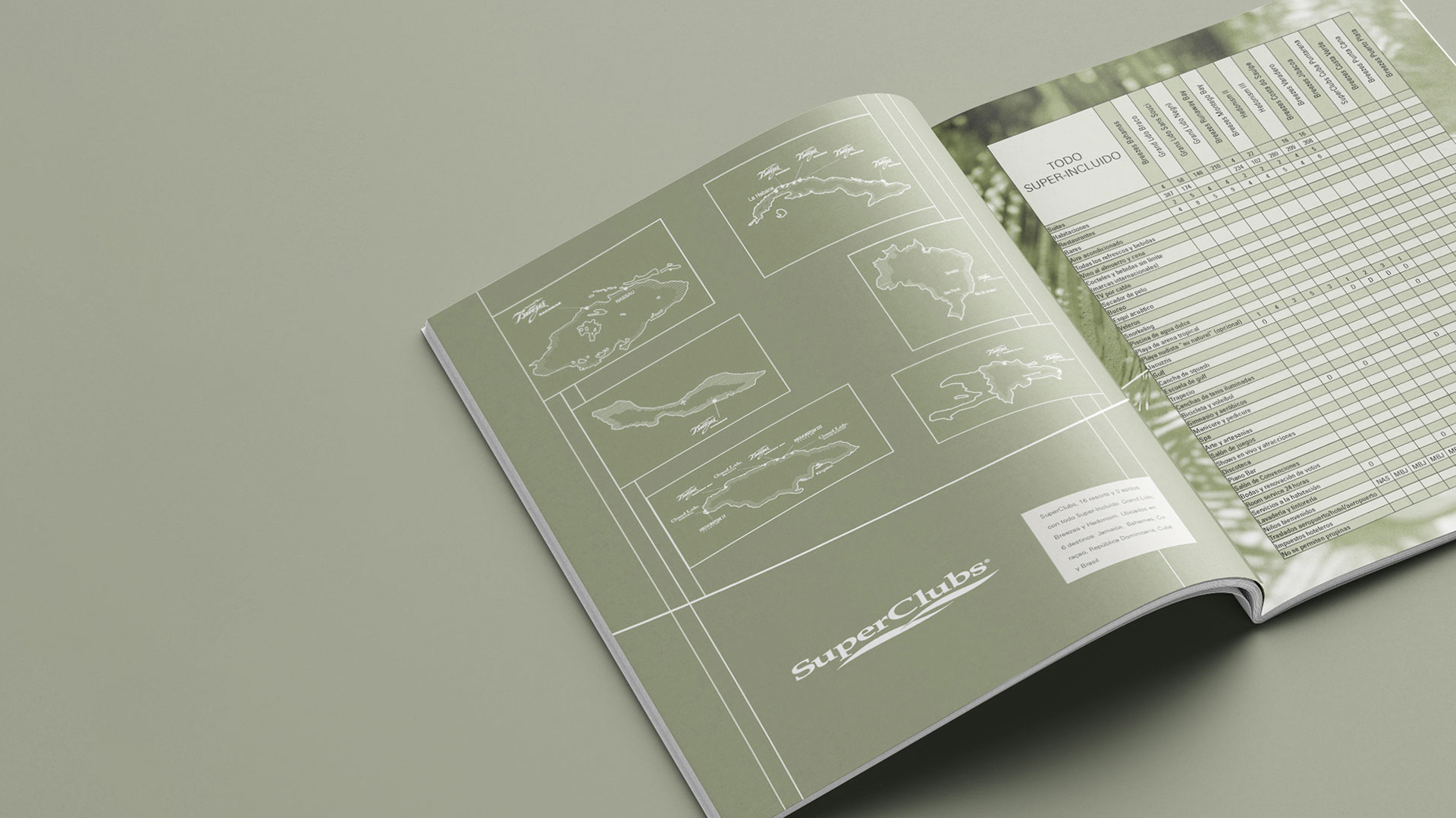 Editorial & Book Design – Blue Fly Art & Design